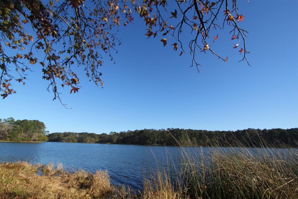LSHT - 03 - Lake Raven, Huntsville State Park | Plan & Go Hiking